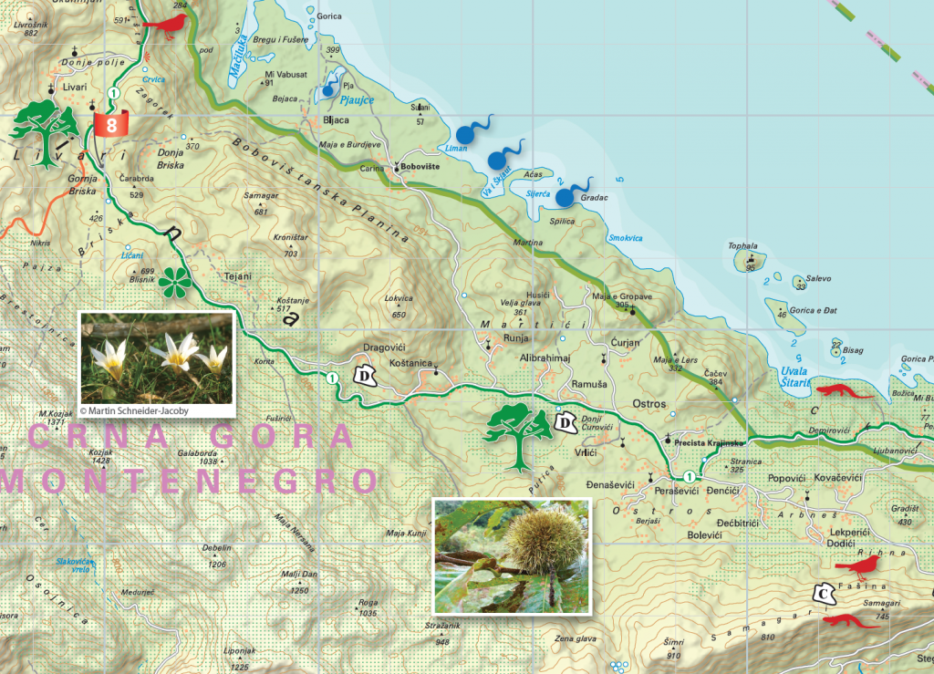 Nature Map Skutarisee / Lake Skutari 1:55 000 - Faszinierende ...